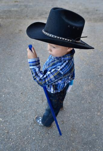 Elizabethtown Fair opens with animal shows and a water balloon toss ...