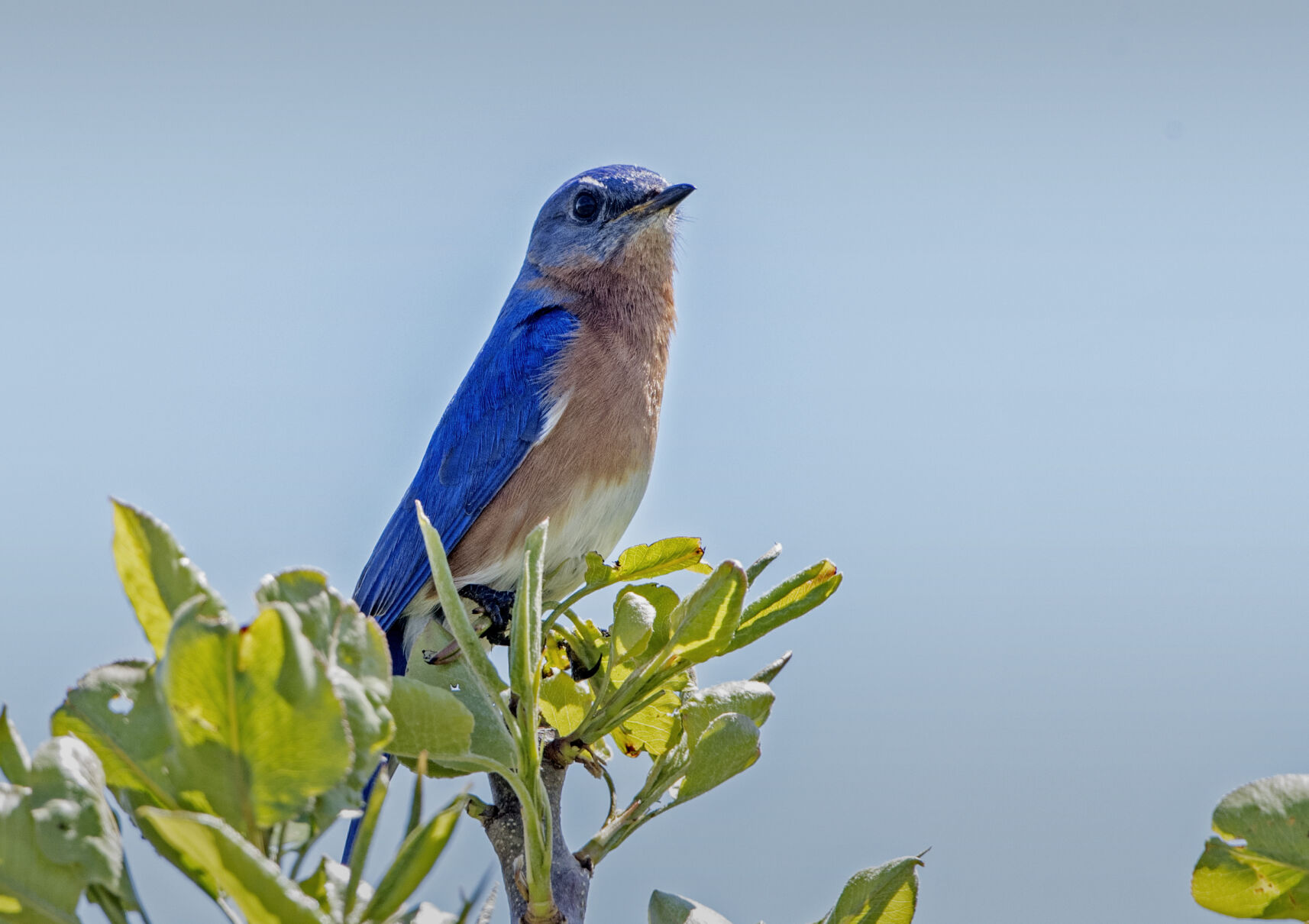 8 things to do this spring in and around Lancaster County ...