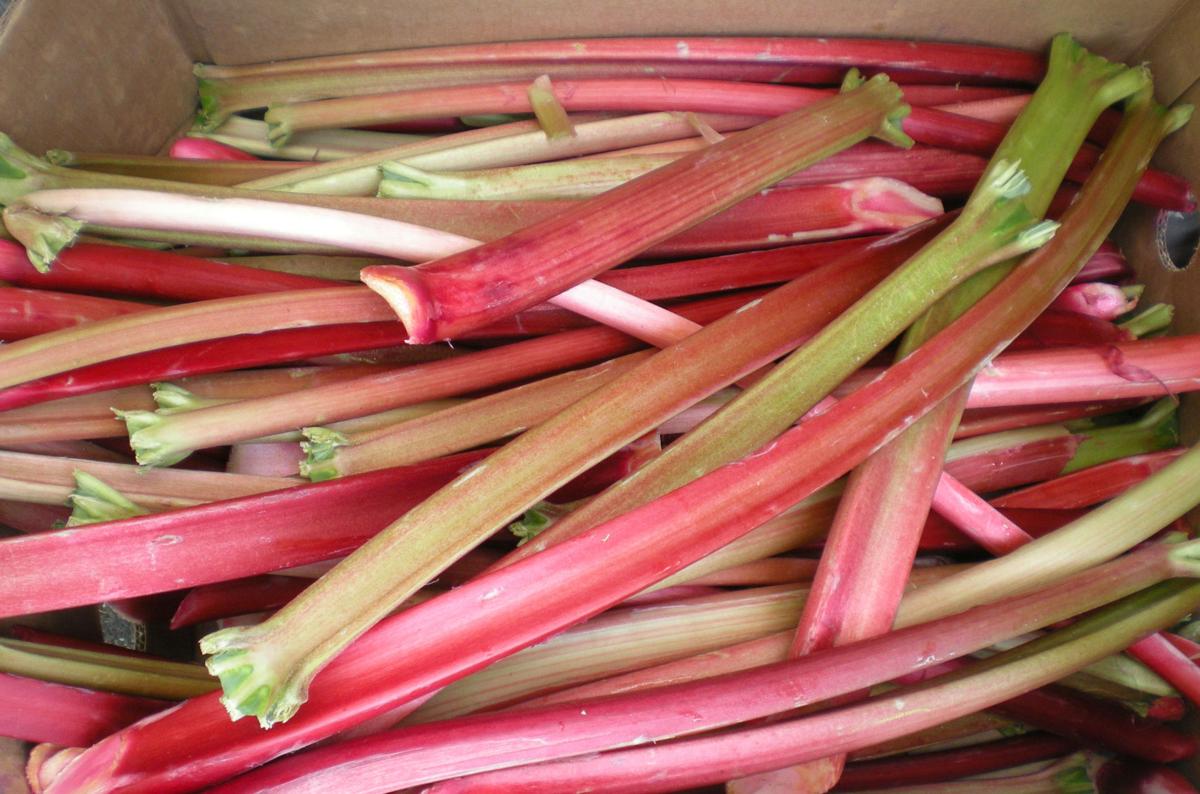 Festival celebrates rhubarb Friday and Saturday at Kitchen Kettle ...
