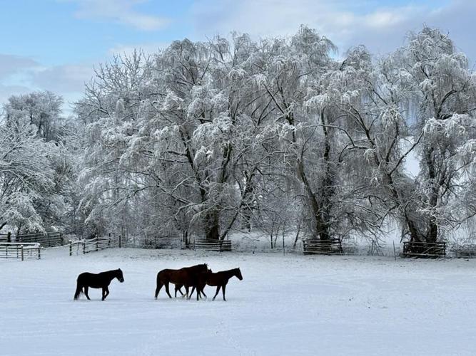 Readers share wintry sights from around Lancaster County [photos ...