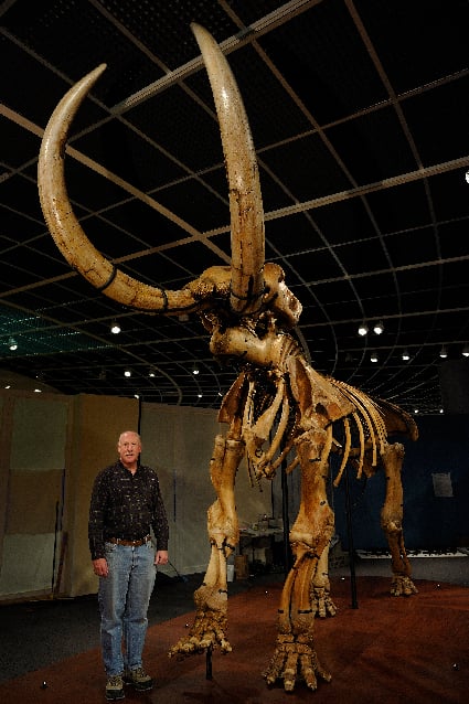 Pa. Museum displays mastodon and more with 'Tusks!' | Entertainment ...
