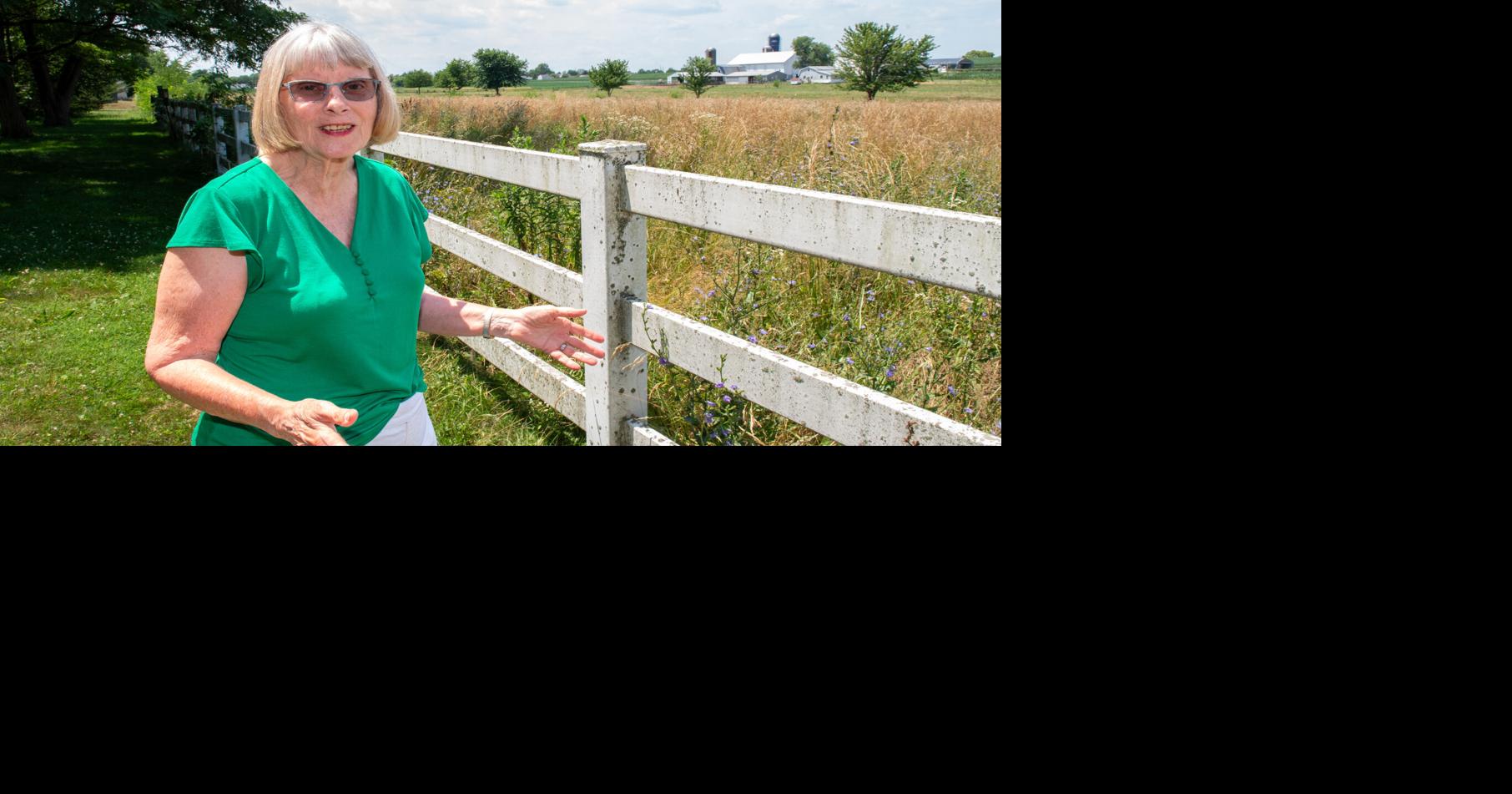New Holland butterfly garden groundbreaking eyed for fall after ...