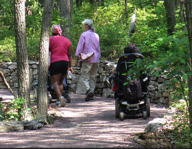 Hawk Mountain opens accessible trail to famed birdwatching overlook ...