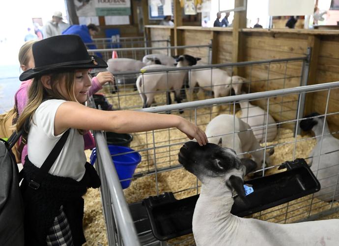 71st Manheim Community Farm Show gets underway with annual parade ...