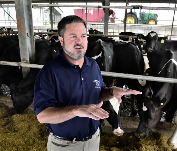 Uncertainty remains on dairy farms already hurt financially by COVID-19 ...