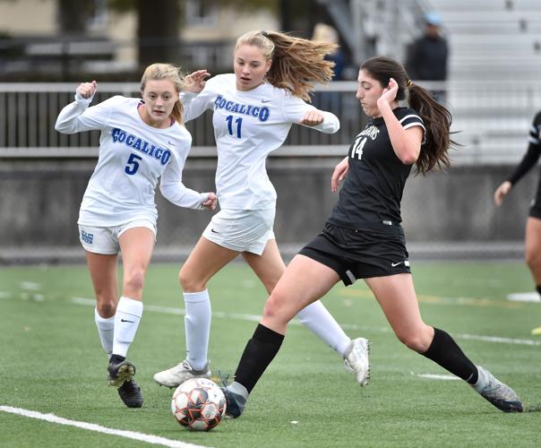 District 3 girls soccer: Manheim Central blanks Cocalico 3-0 in 3A ...