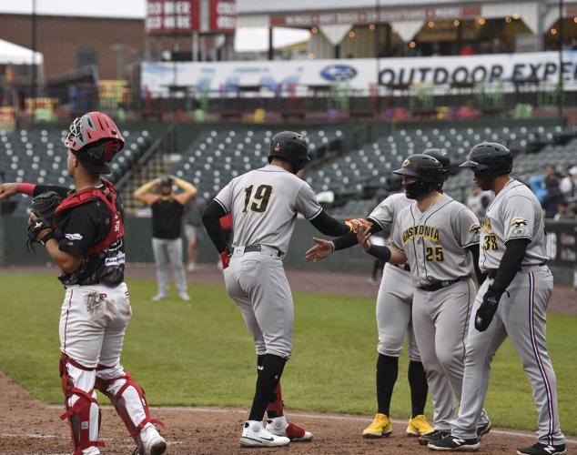Lancaster Barnstormers vs. Gastonia Honey Hunters - Atlantic League ...