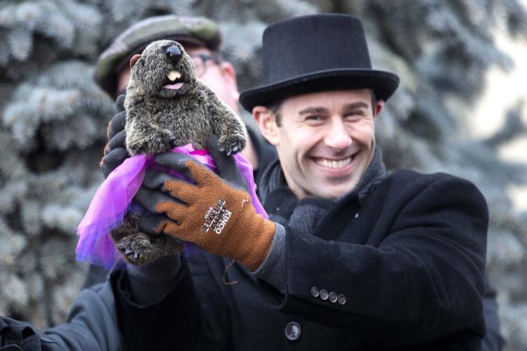 Mount Joy Minnie proclaims prediction during Groundhog Day celebration ...