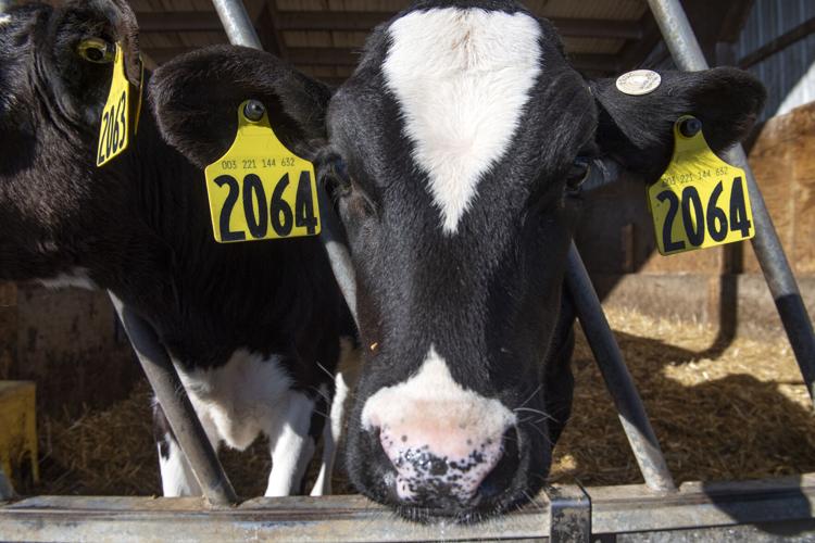 Take a look around the Lancaster County farm hosting the Pennsylvania ...