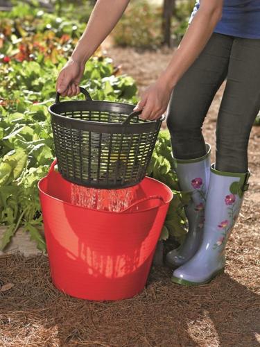 In the garden: A quick clean with Tubtrug | Life & Culture ...