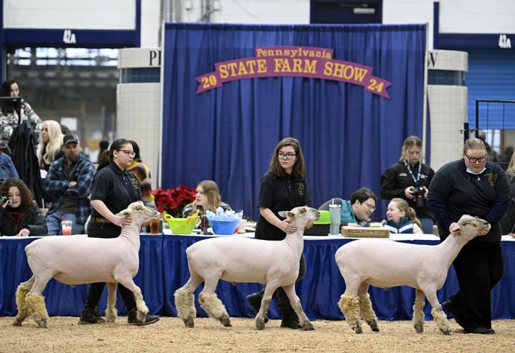 108th Pennsylvania Farm Show opening day [photos] | Local News ...