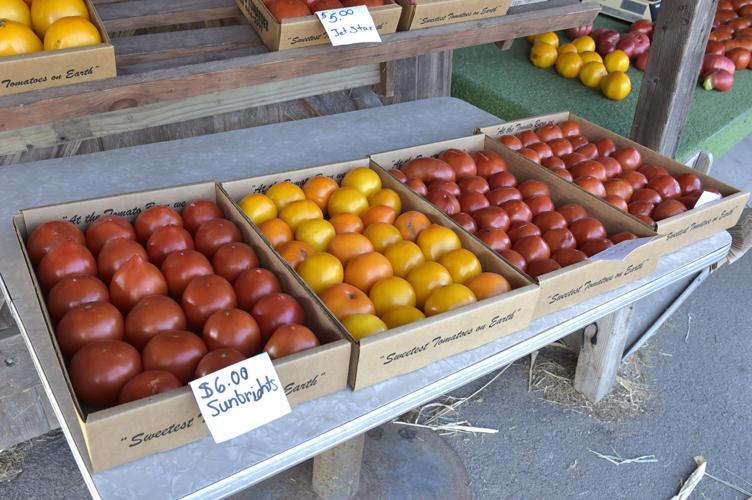 How can you use up all those excess tomatoes? Here are some suggestions ...