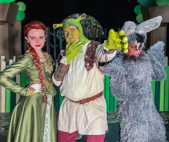 Curtain rising on 'Shrek,' 'Elvis,' 'Mom' musicals, ‘24 Hour Plays' and ...