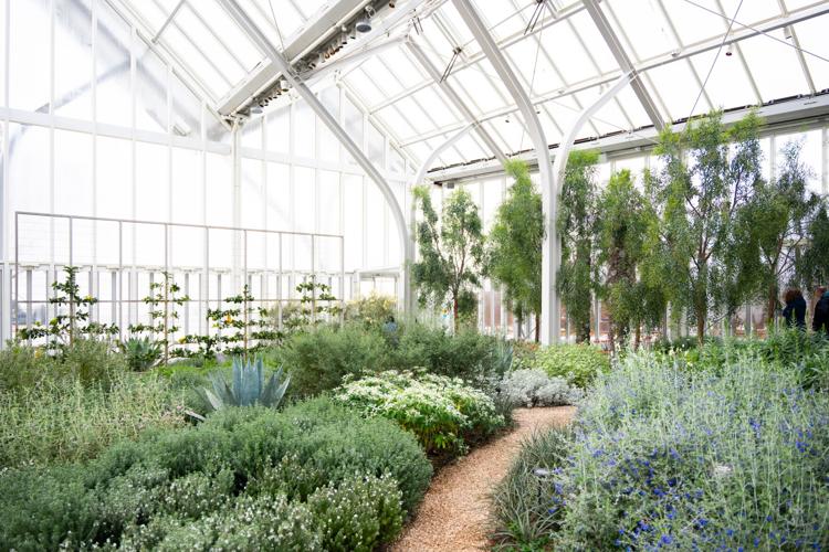 Escape the Arctic air inside acres of greenhouses at Longwood Gardens ...