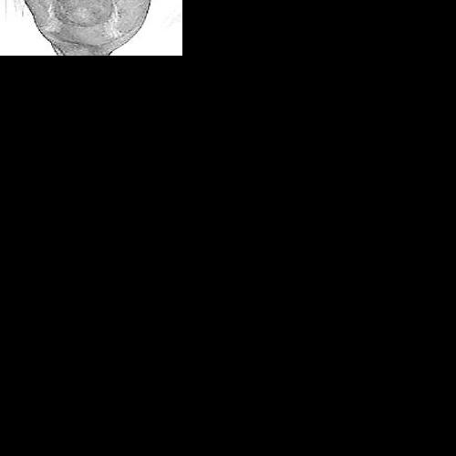 Harold W. Eckert, Jr. | Obituaries | lancasteronline.com