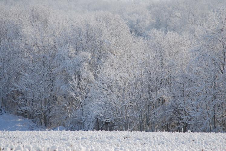 A 2022 bucket list for winter fun in Lancaster County | Entertainment ...