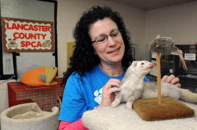 Embattled Lancaster County SPCA director resigns, citing 'emotional ...