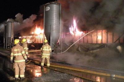 Barn fire kills 4,000 hogs | News | lancasteronline.com