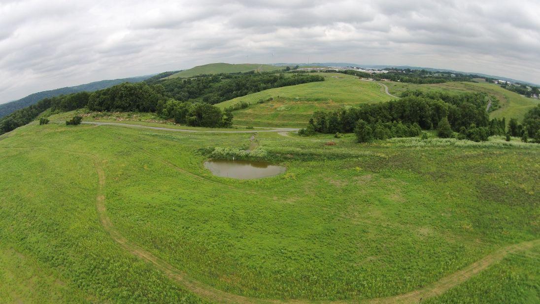 Chestnut Grove Natural Area is county's newest, most unique nature spot ...
