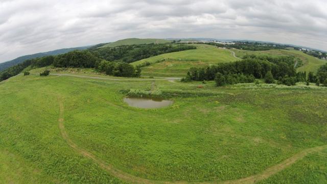 Chestnut Grove Natural Area is county's newest, most unique nature spot ...