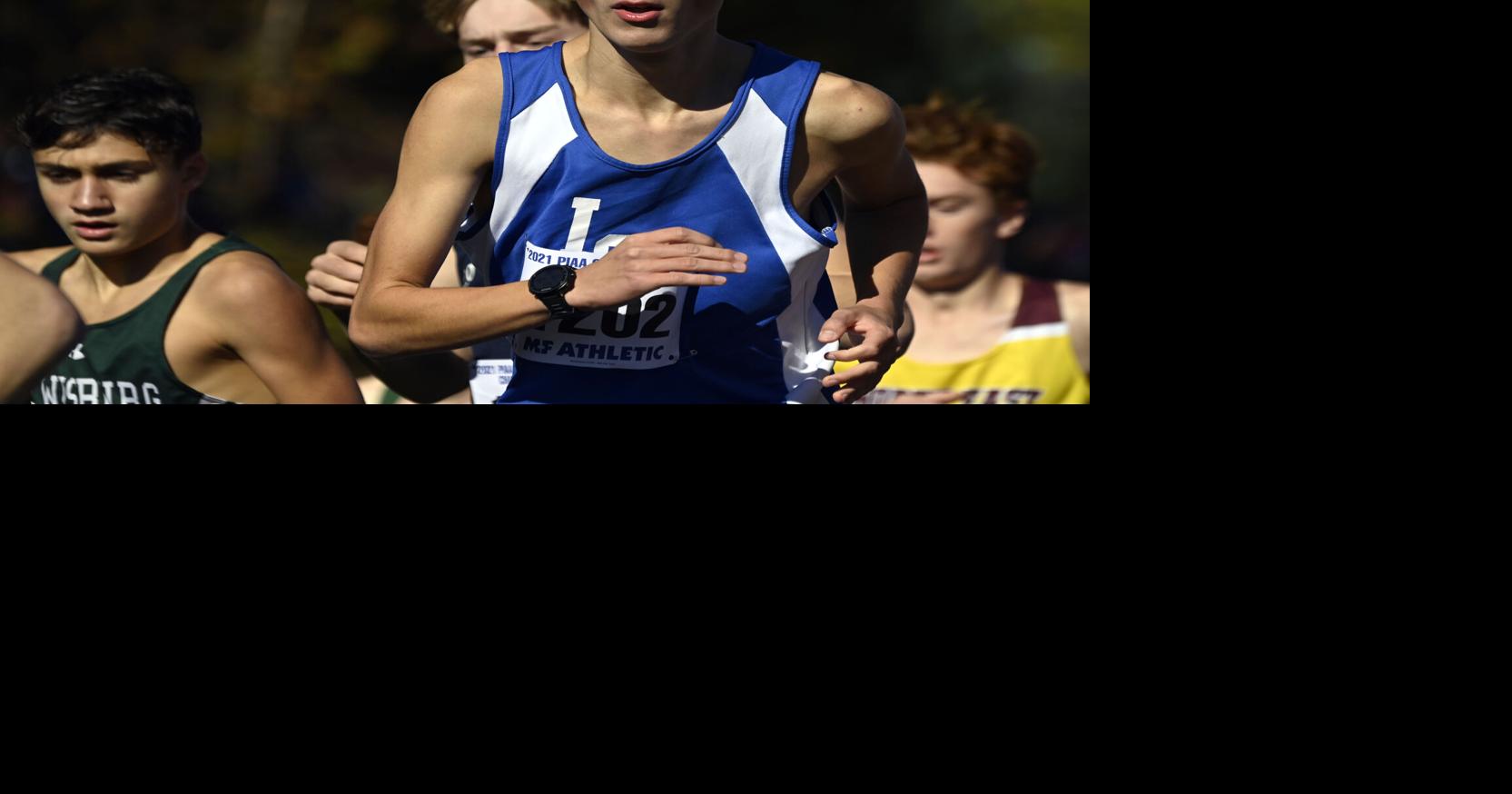 3 L-L League runners earn state medals at PIAA cross country ...