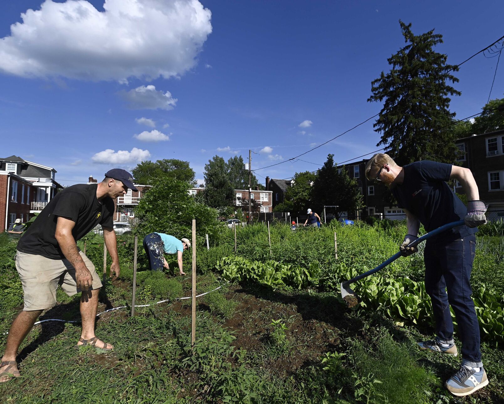 Lancaster’s new community garden has history and a future | Home ...