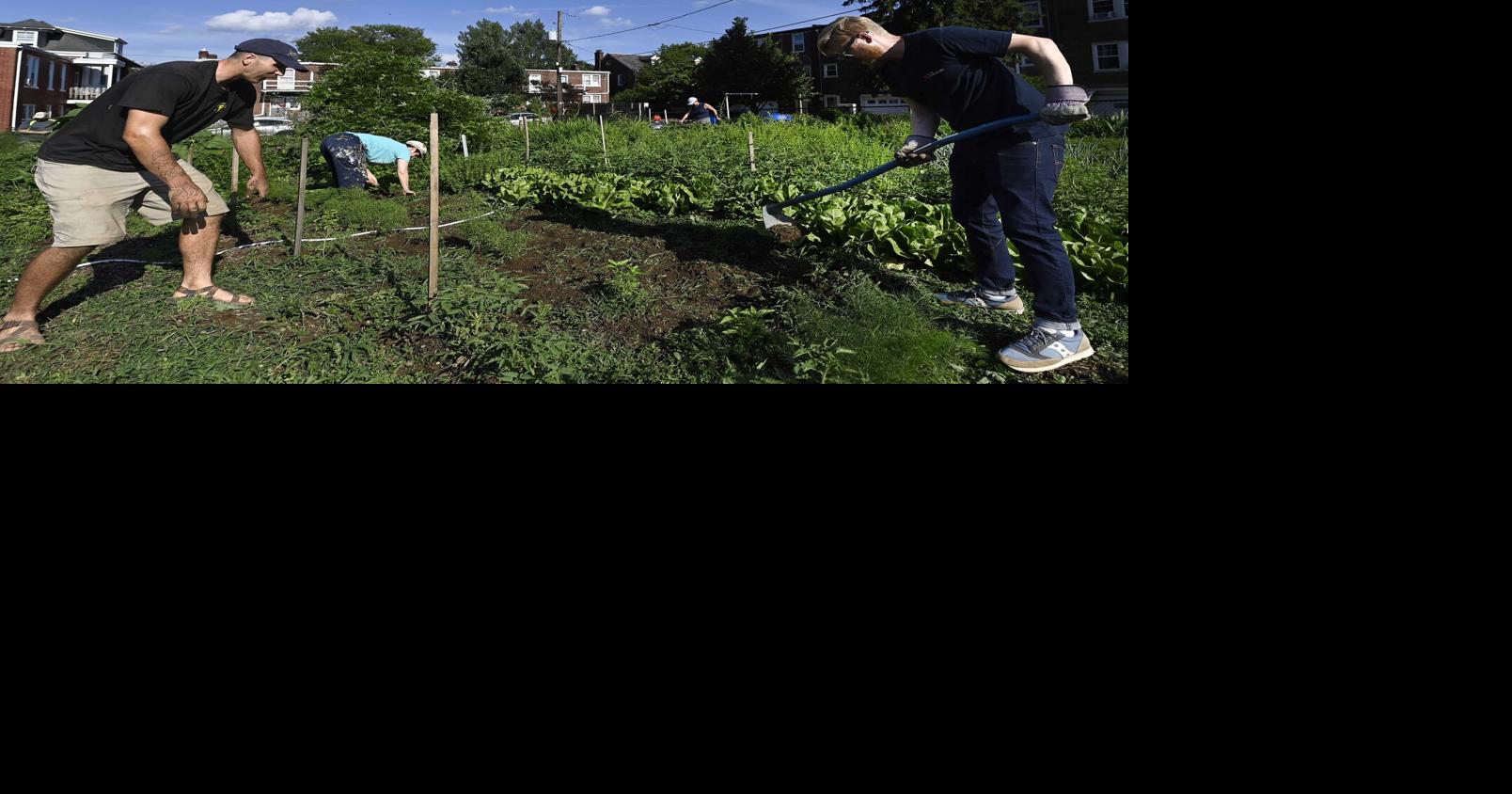 Lancaster’s new community garden has history and a future | Home ...