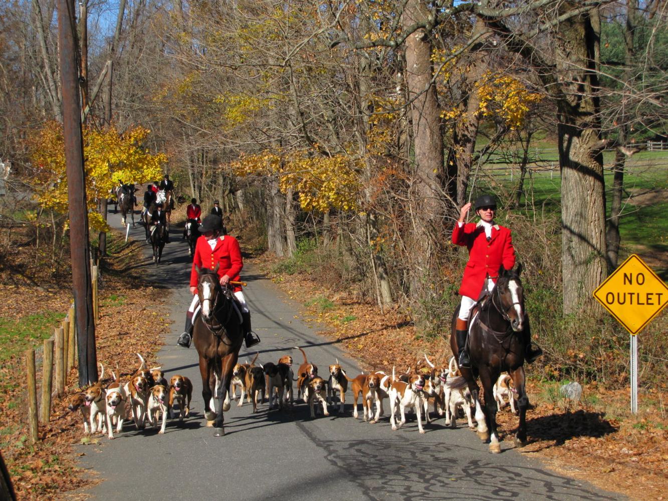 WATCH: Traditional fox hunting thrives in southeast Pennsylvania, too ...