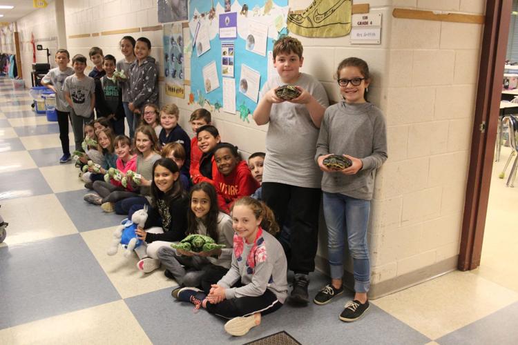 Conestoga Valley: Fritz Elementary students help sea turtles | News ...