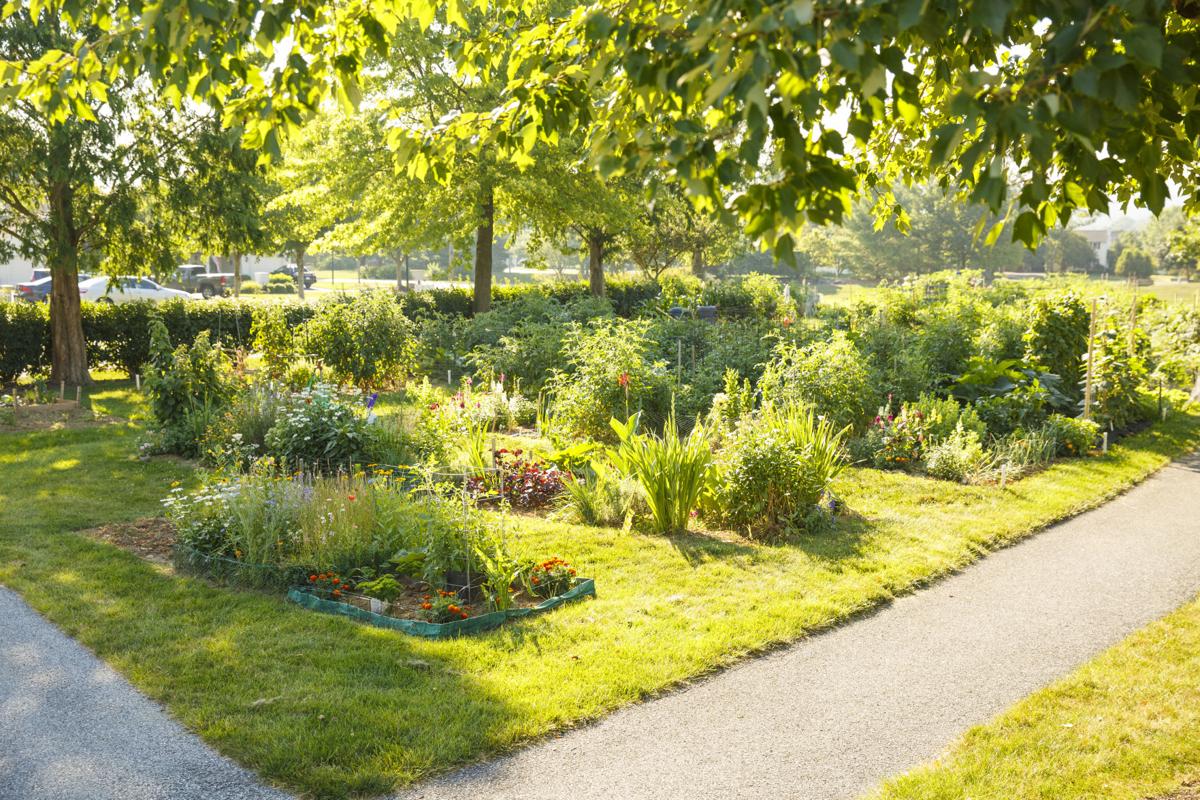 Gardening together: This community garden for seniors in New Holland is ...
