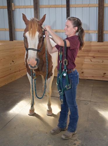 Bridlepath Equine Center [photos] | | lancasteronline.com