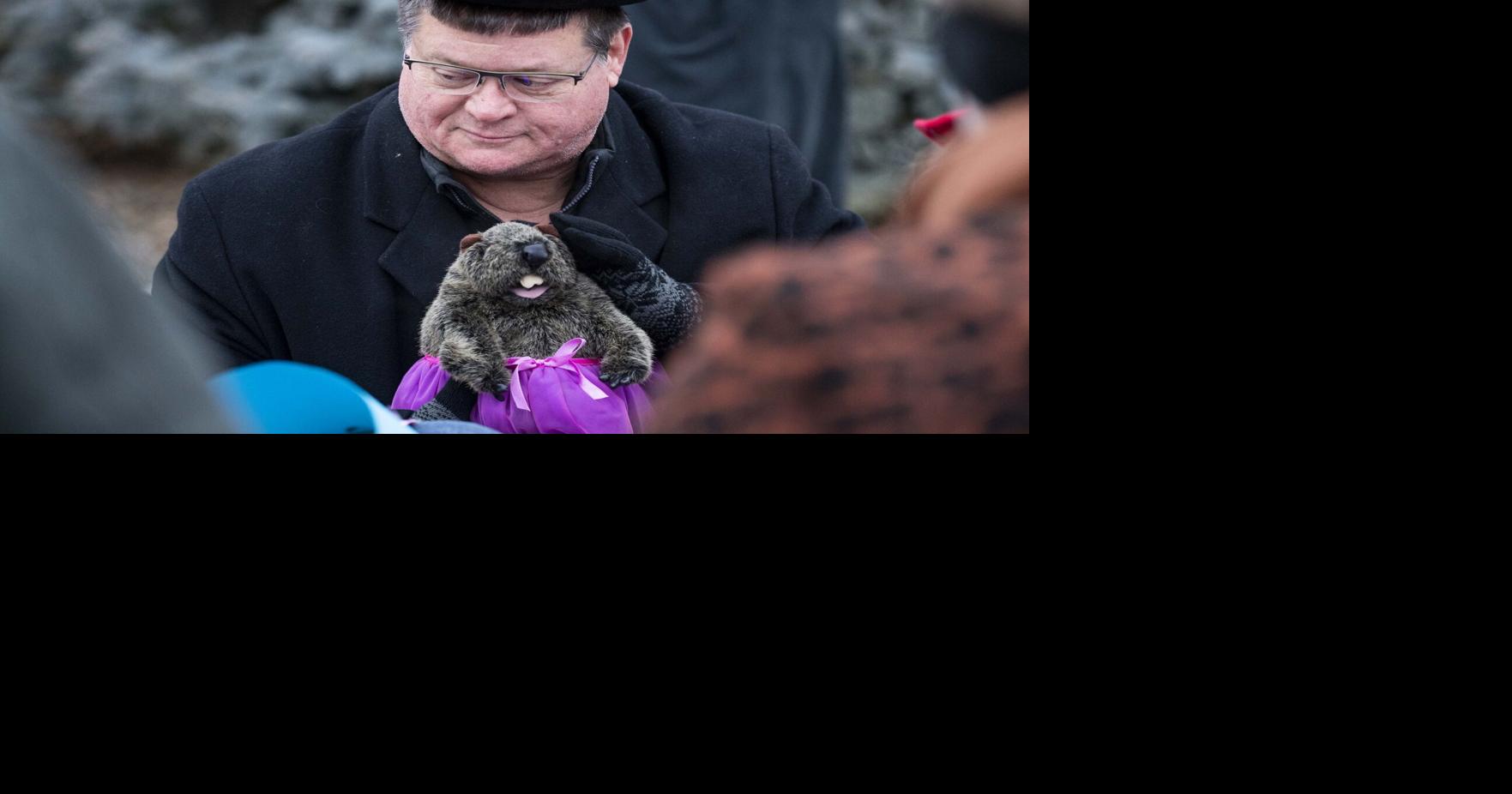 Groundhog Day 2023: 4 Lancaster County groundhogs to predict if there ...