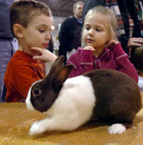 County couple scores in cornbread contest | News | lancasteronline.com