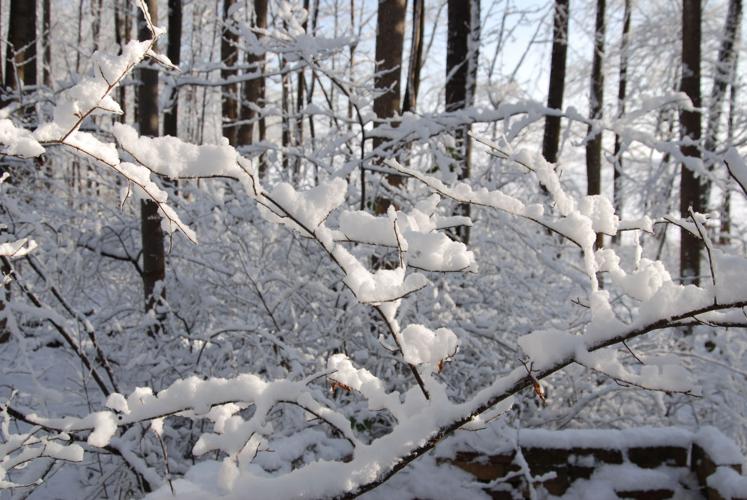 Winter hiking in Lancaster County: Cold, but the trails are quiet ...