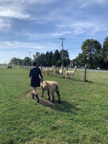 How Pleasant View Communities is using its founder's farm to continue ...