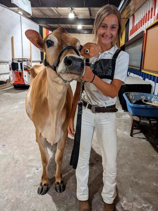 What types of cows are in Lancaster County? A guide to some of the ...