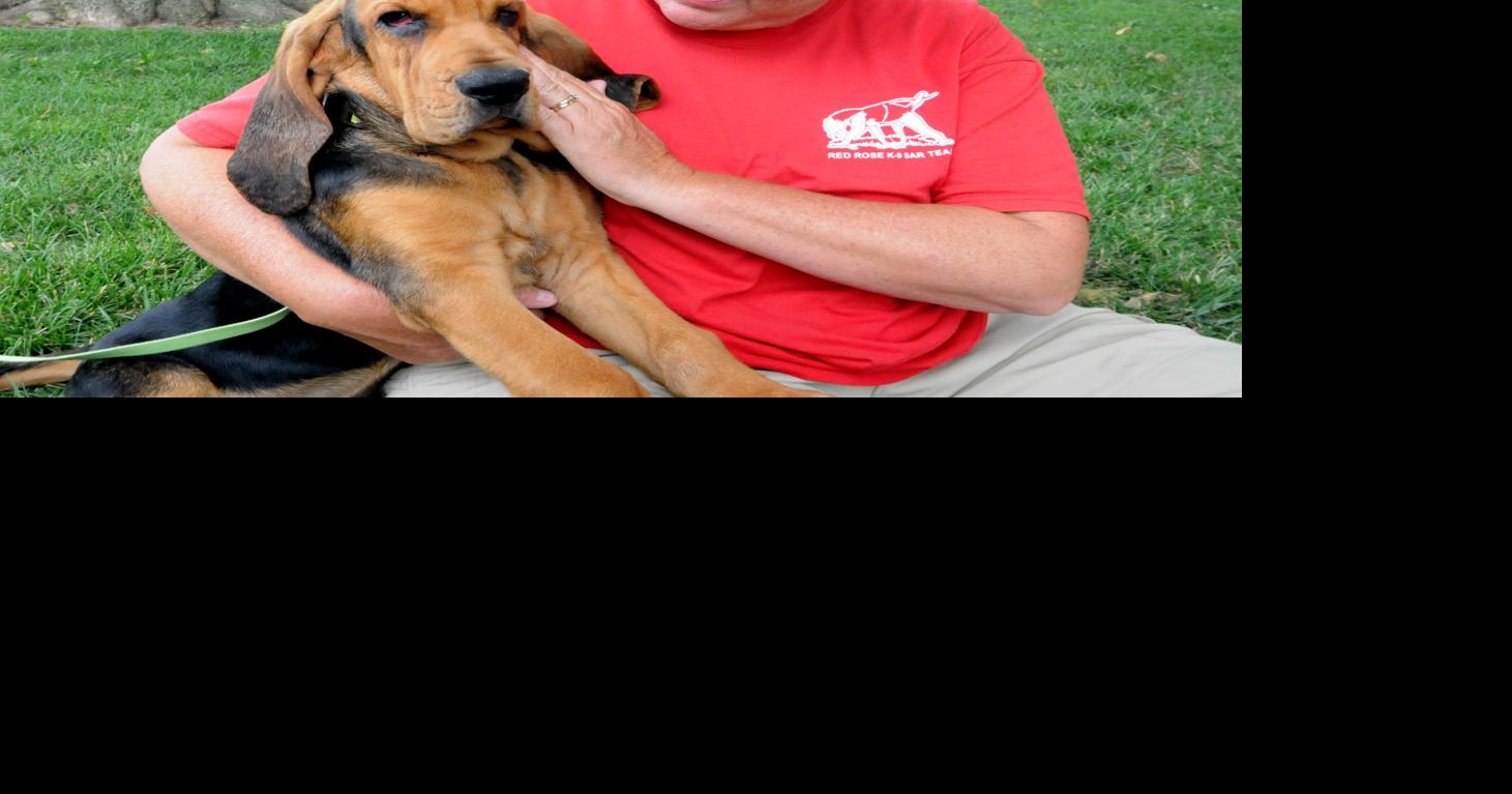 Meet Reuben: Red Rose K-9 adds a new trainee | Lifestyle ...