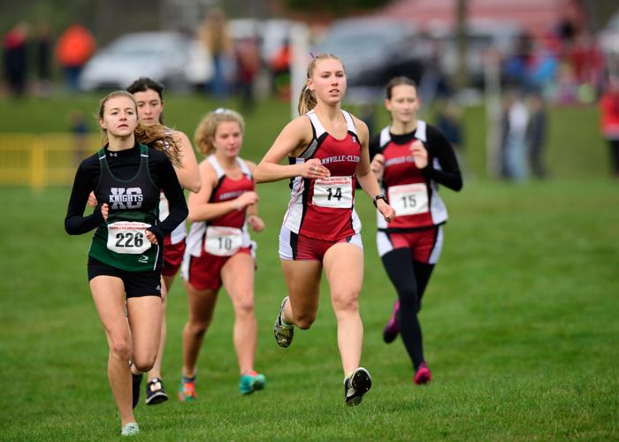 District 3 cross country championship races [photos] | Sports ...