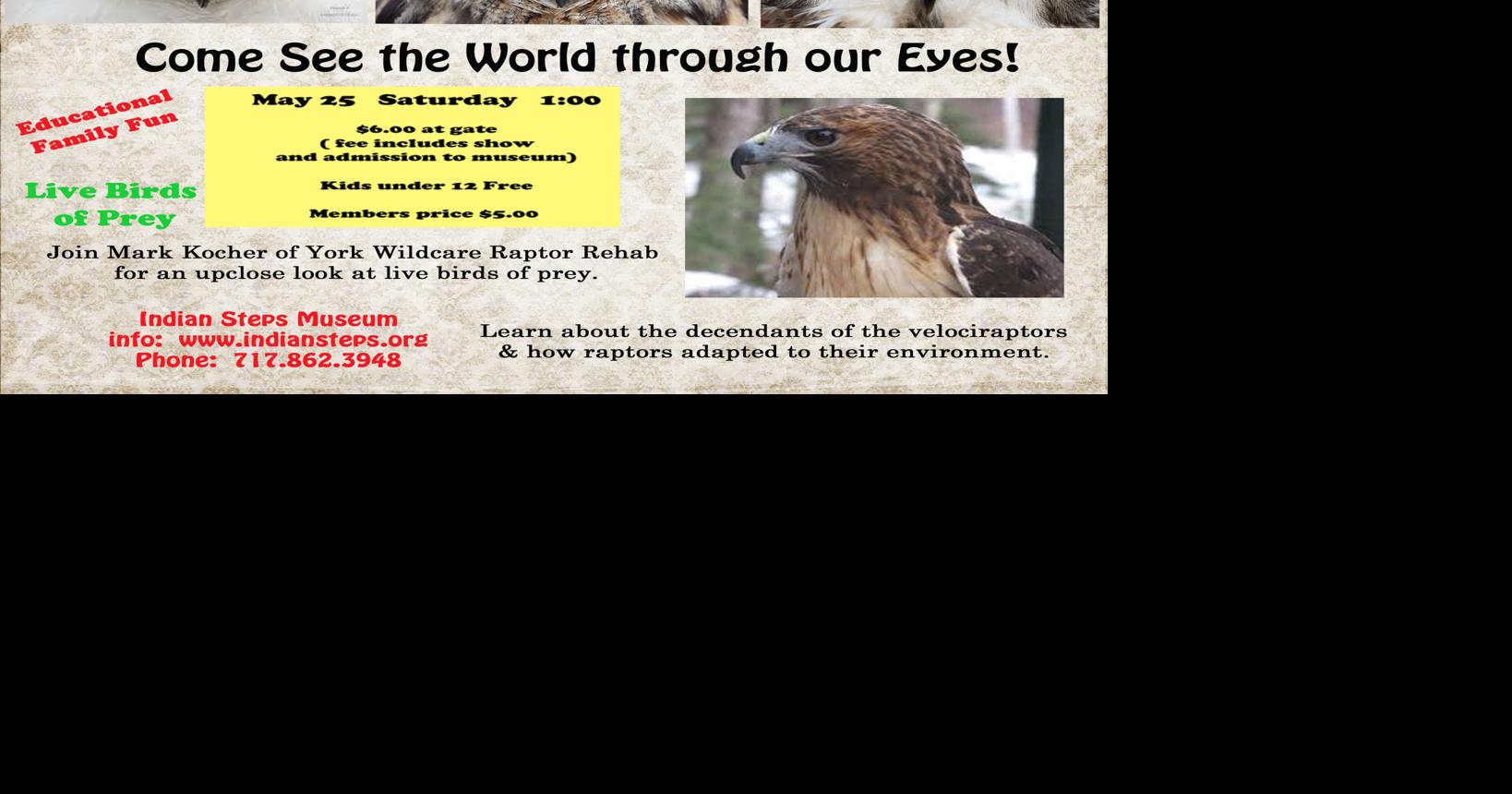 Raptor Show | | lancasteronline.com