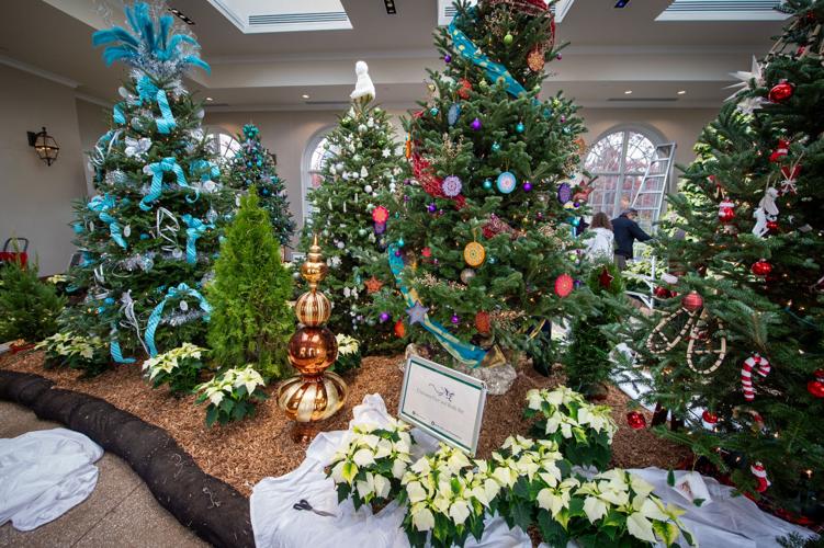 Take a look at this year's Hershey Gardens’ Christmas Tree Showcase ...
