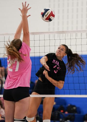 Manheim Central three-sport standout Maddie Knier is LNP ...