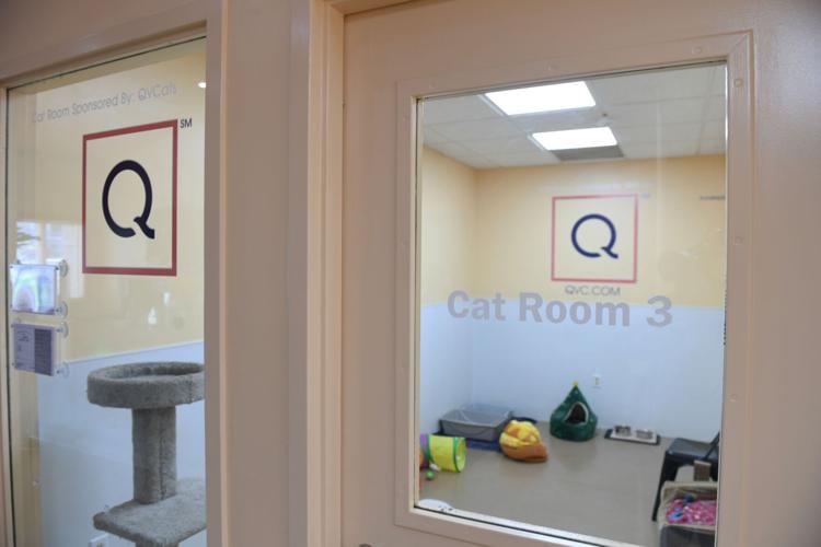 Humane Pennsylvania showcases renovations at Lancaster campus [photos ...