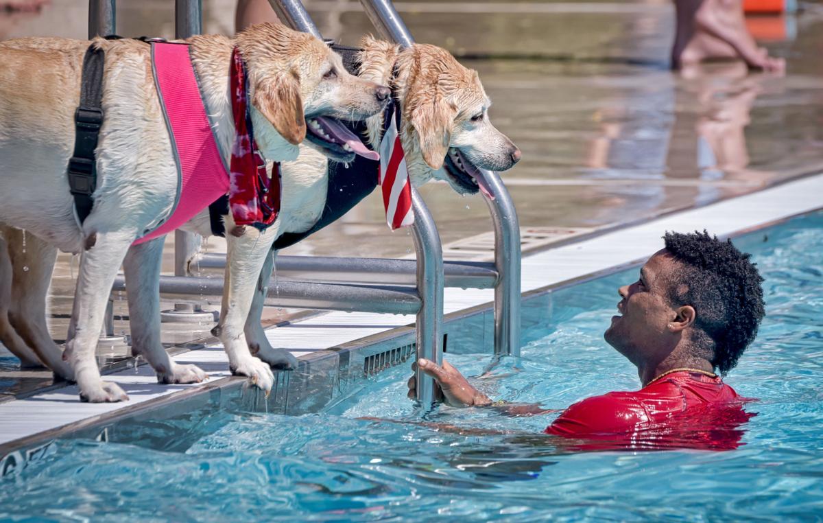 Ephrata residents take their dogs for a swim at the community pool ...