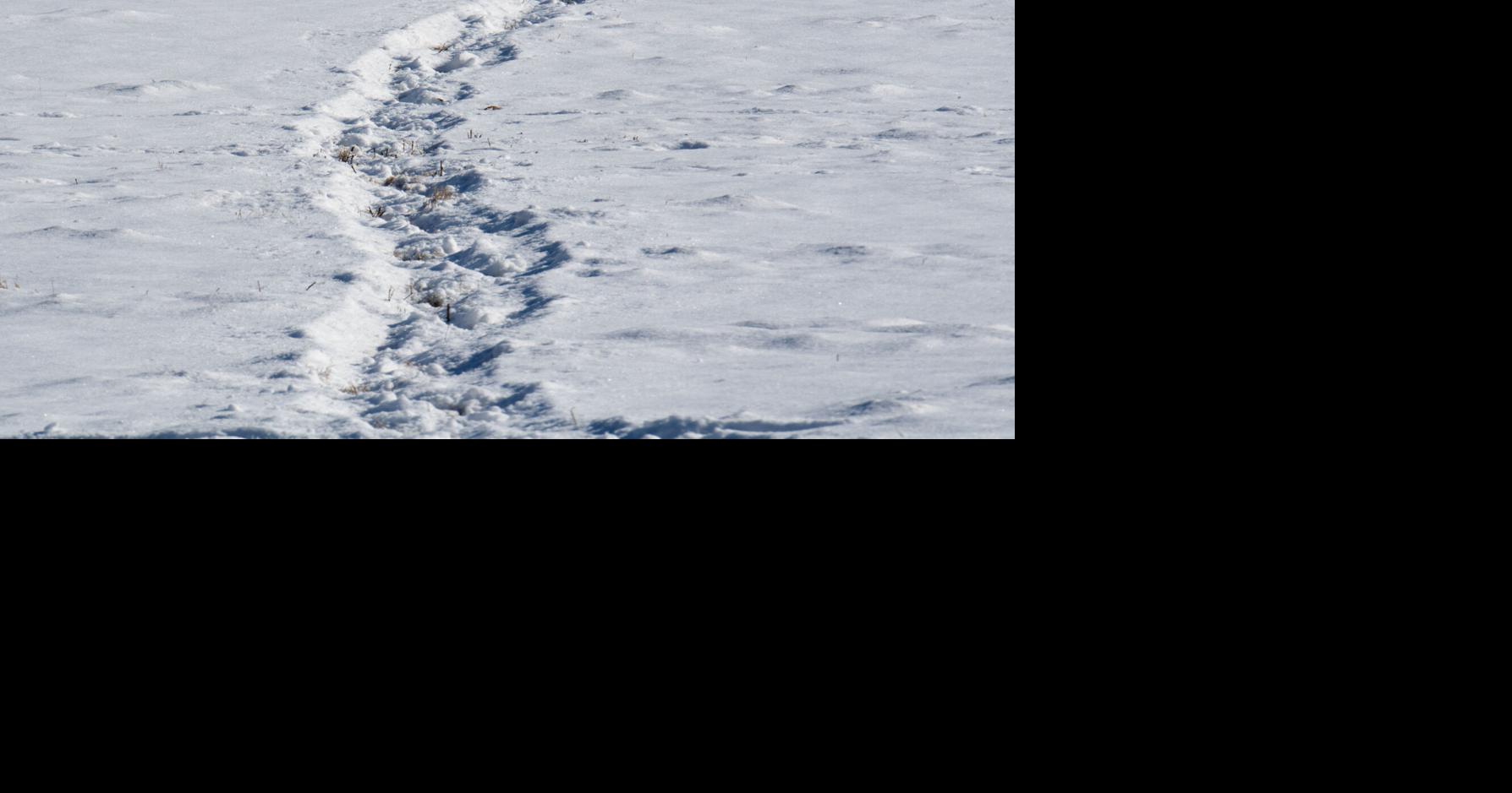 First of 3 winter storms to bring more snow to Lancaster County into ...