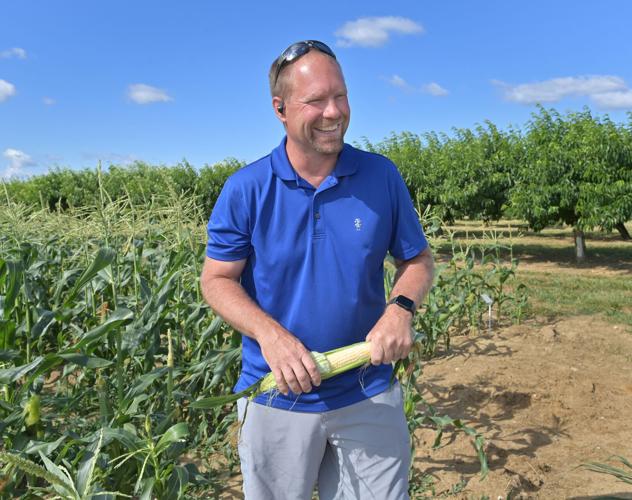 Cherry Hill Orchards are abundant with crops maturing early [photos ...
