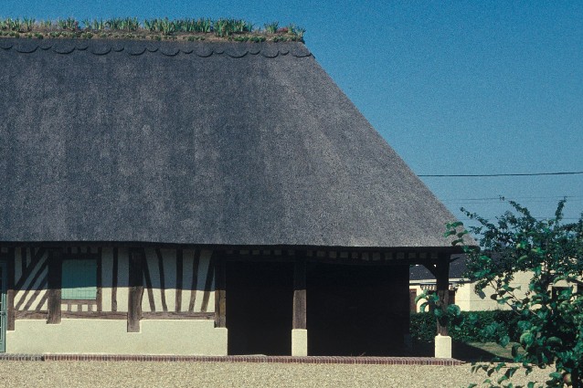 Cresting | Lifestyle | lancasteronline.com