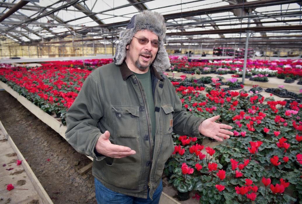 Peek inside the biggest greenhouses of Lancaster County, starting with ...