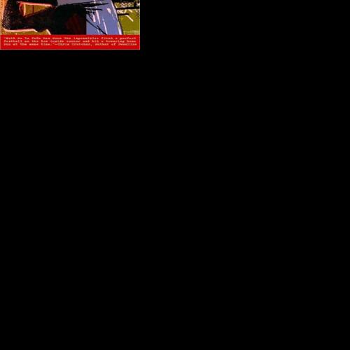 'Mexican WhiteBoy' explores multiracial milieu | Books ...