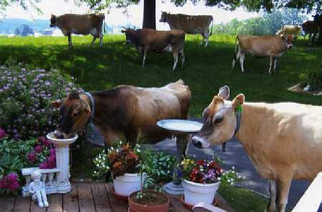 PASS THE WORD | Lifestyle | lancasteronline.com