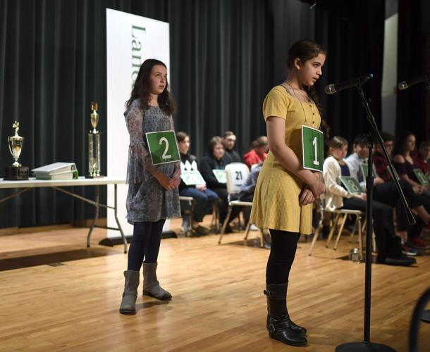 'Steerage' earns Hempfield's Sophie Zhang the grand championship at ...